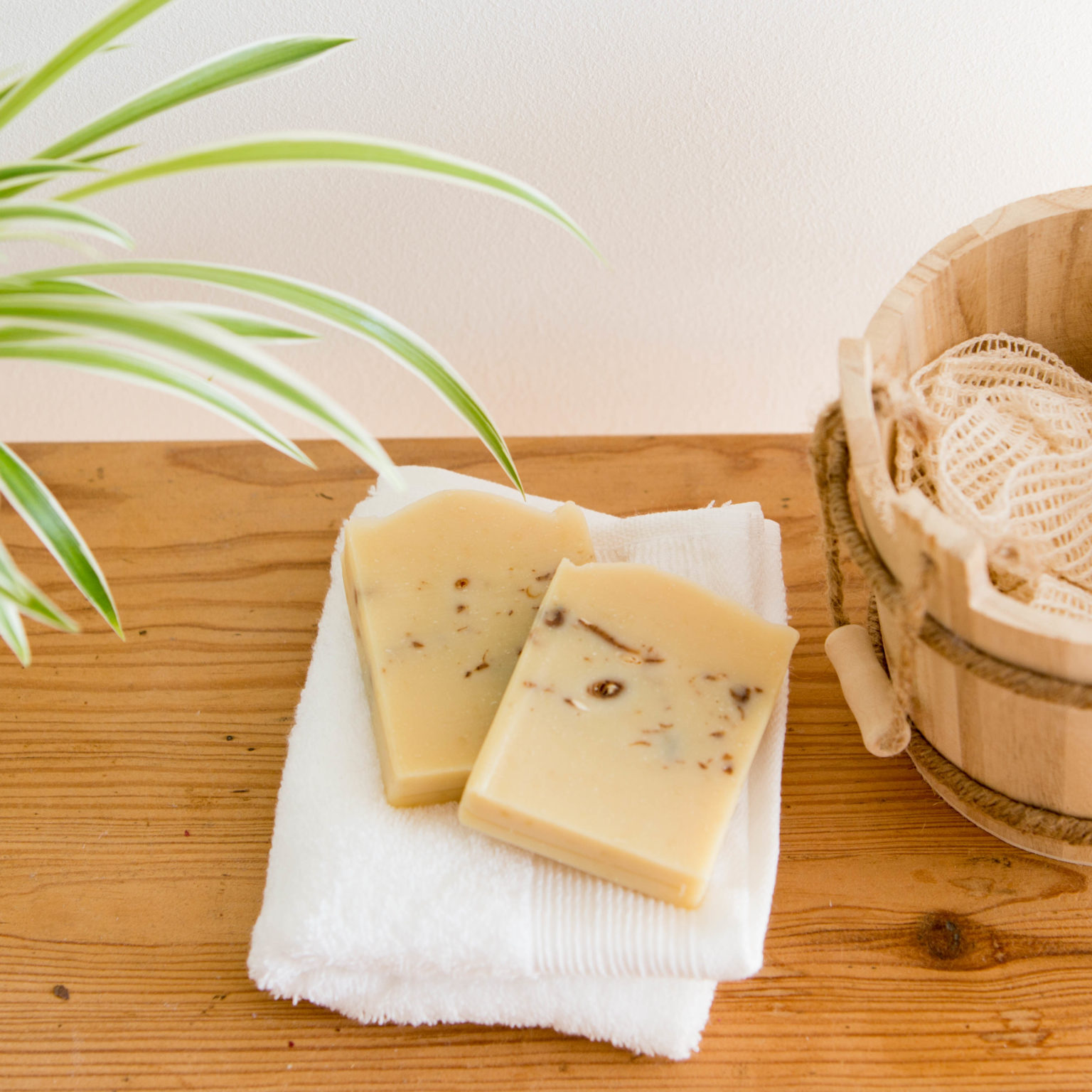 Coco Mellow Shampoo Bar – Savons Labo Bulles